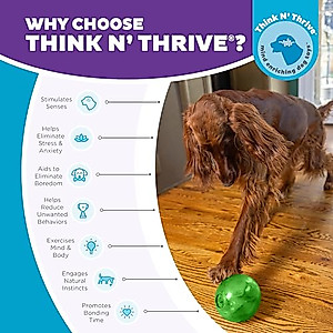 Outward Hound Mazee Puzzle Ball Interactive Treat Dispensing Dog Toy, Green