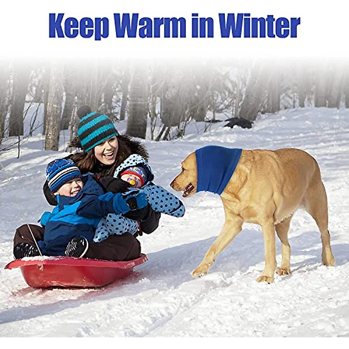 Quiet Ears for Dogs Hats Hoodies Dog's Ear Muffs Headband Noise Ear Protection for Dogs,Blue M