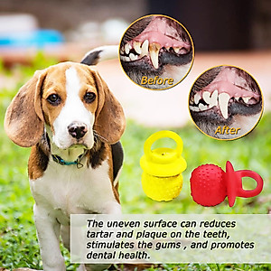 LLSPET Latex Chew Dog Toys, Novelty Squeaky Pacifier Dog Toys for Teething Puppies, Mild Chewing Small, Medium, Large Dogs, Pet Dogs Supplies Newborn Puppy Gift (2 Pcs, Red+Yellow