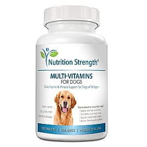 Nutrition Strength Multivitamins for Dogs, Daily Vitamin and Mineral Support, Nutritional Dog Supplements for All Canine Breeds and Sizes, Promotes Immune Health in Pets, 120 Chewable Tablets