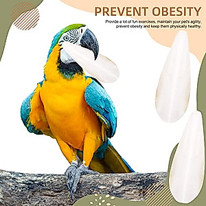 LEIFIDE 30 Packs Cuttlebone, Cuddle Bones for Birds 3.1-3.9 Inches Large Cuttlefish Bone Chew Toy Bird Bites Calcium Stone for Pets Reptile Tortoise Turtles Parakeet Cockatiels Reptiles and Snails