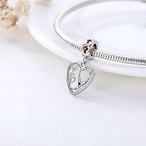 LEECCI Nurse Charm for Bracelet 925 Sterling Silver Stethoscope Charm Nursing Themed Charm Medical Jewelry for Doctor Nurse Medical Student RN Nurse Gifts for Women (Heart Stethoscope)