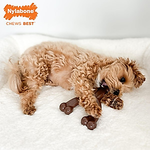 Nylabone Flexi Chew Wishbone Dog Chew Toy - Flexible Dog Toy for Moderate & Gentle Chewers - Flavor Medley, Wolf/Medium (1 Count)