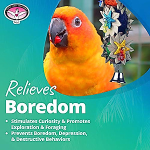 Super Bird Creations SB1098 Palm Star Bird Toy, Medium Bird Size, 13" x 3.5" x 3.5"