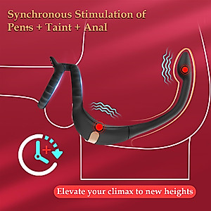 APP Controlled Vibrating Cock Ring with Mini Bullet - Remote Control Prostate Sex Toy and Anal Plug for Men