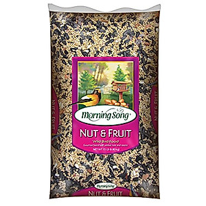 Morning Song 11988 Nut and Fruit Wild Bird Food, 15-Pound