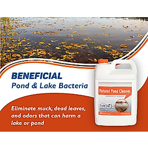 Crystal Blue Natural Pond Cleaner - Muck and Sludge Remover, Safe for Koi - 1 Gallon