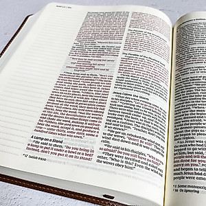 Hand Illustrated & Laser Engraved NIV Journaling Bible, Personalized Gift, Custom Name Engraving Available