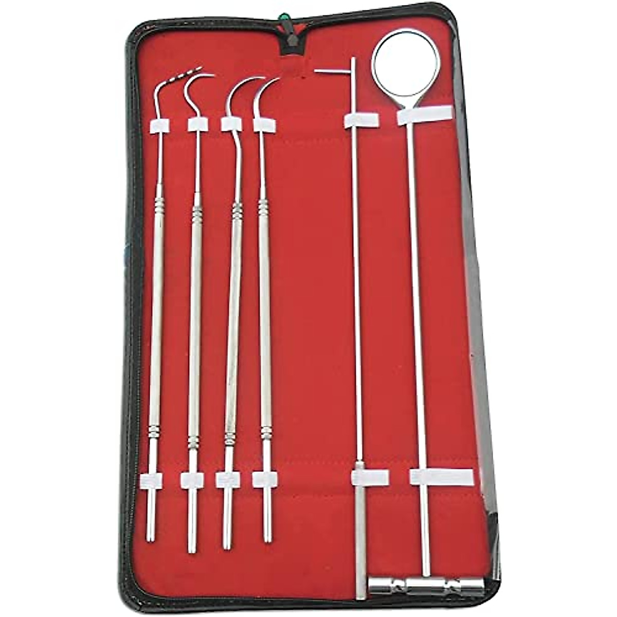 WDL 6 Pcs Equine Dental Pick Probe Scalers Veterinary Instruments Kit