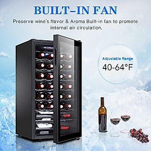 STAIGIS 28 Bottle Compressor Wine Cooler Refrigerator, Small Freestanding Wine Fridge for Red, White and Champagne, Mini Fridge with 40-66F Digital Temperature Control Glass Door