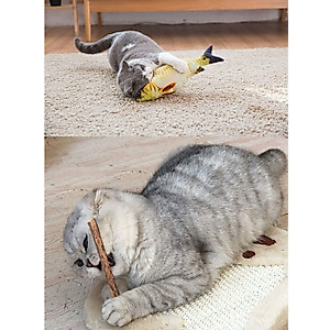 PETFAVORITES 24 Cat Toys Kitten Catnip Toys Variety Pack - 3 Way Tunnel, Interactive Wand, Fish, Mouse, Crinkle Balls, Kitty Chew Toys, Feather - Deluxe Toy Set for Christmas Birthday, Color Random