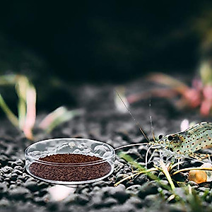 Patelai 3 Pieces Aquarium Shrimp Feeding Dish Glass Fish Clear Tank Feeding Bowl Food Bowl Freshwater Tray Feeder