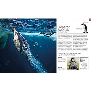 Wildlife of the World