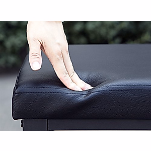 Finnhomy Entryway Shoe Rack with Cushioned Seat, 2 Shelves Storage Bench w/Faux Leather Top Bed Bench, Black