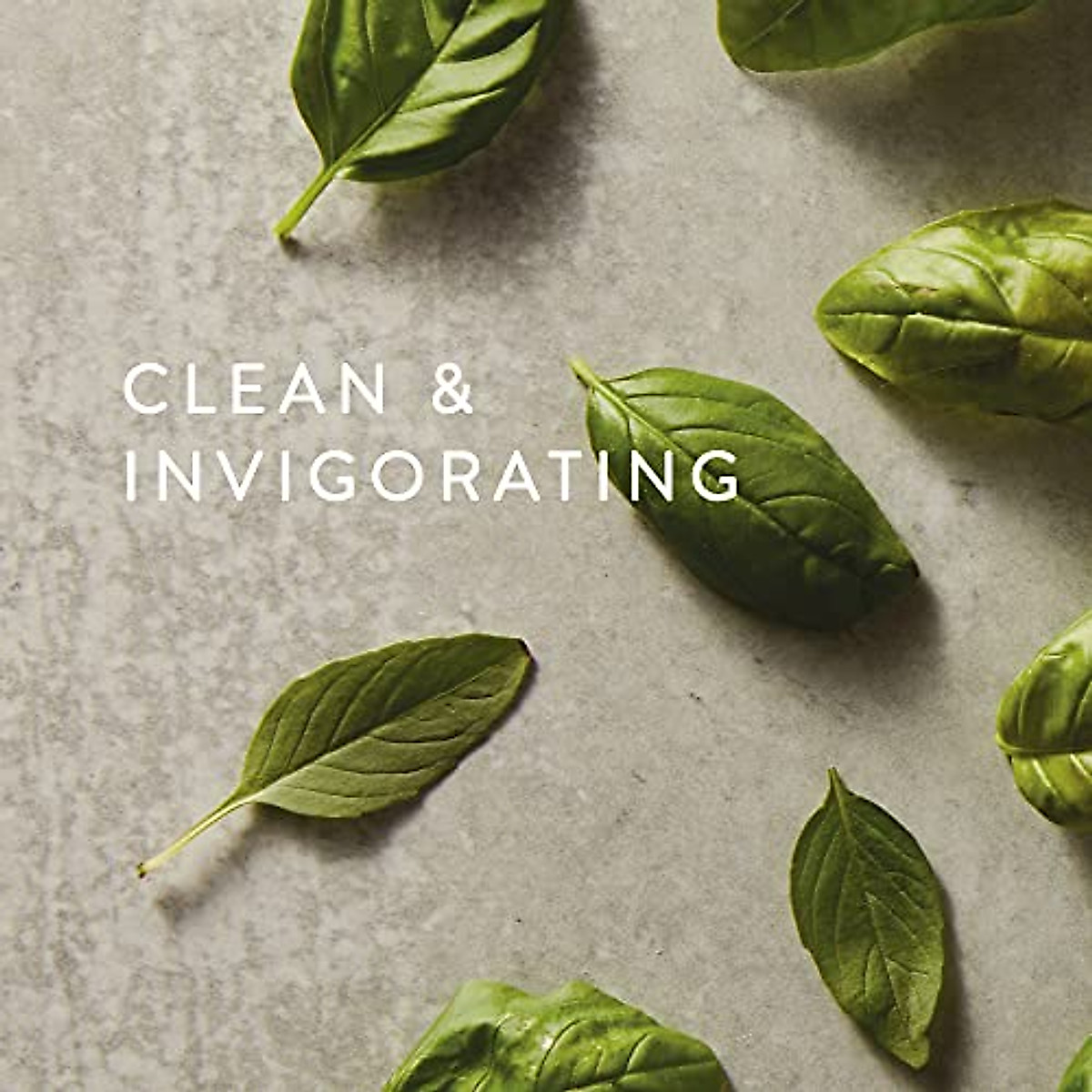 Fresh-Cut Basil Poured Candle