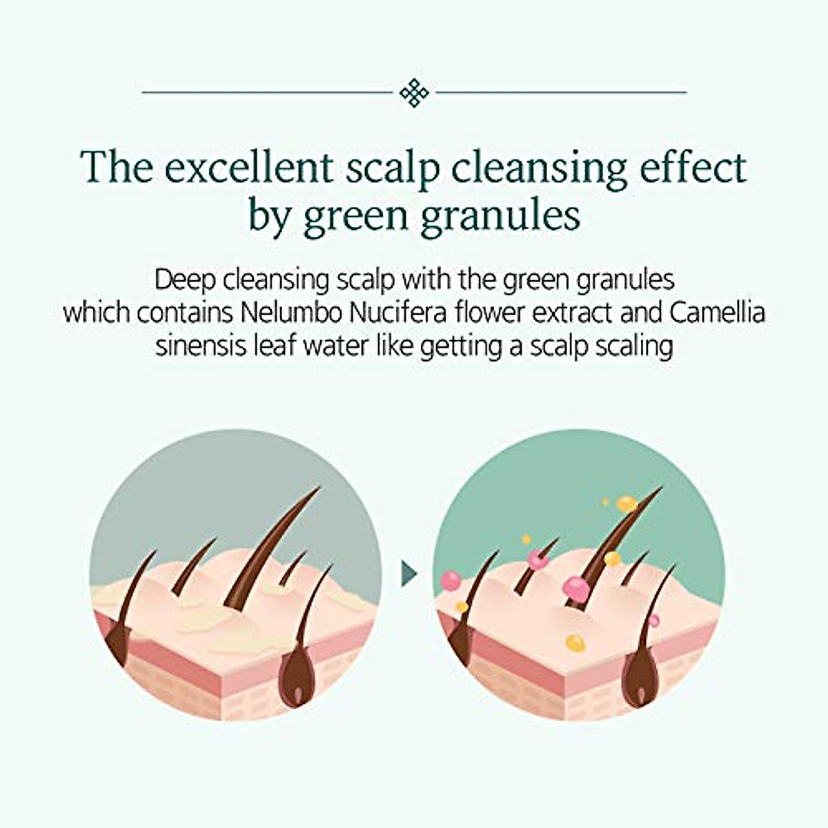 Ryo Scalp Deep Cleansing & Cooling Conditioner 500ml (16.9oz) Excess sebum care, For smelly scalp, Fermented mint and other natural ingredients, Anti- Dandruff treatment