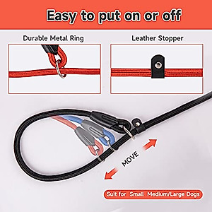 FOVRLZSE 3pcs Slip Lead Dog Leash,Strong Nylon Rope Leash,Training Leash for Large Medium and Small Dogs