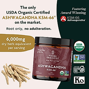 ENDURANCE DUO: Organic KSM-66 Ashwagandha + Organic Moringa - Vegan capsules - 2 Month Supply - Reduce stress fatigue tension worry laziness - Boost energy immunity performance memory focus