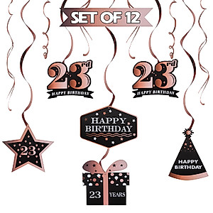 LINGTEER Happy 23rd Birthday Decorations,23rd Birthday Black with Rose Swirls Hanging Streamer Kit,Cheers to 23 Years Old Bday Foil Party Photo Backdrop Supplies.
