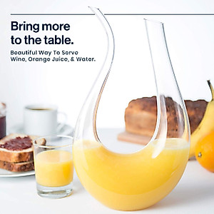 Wine Decanter and Rosewood Waiter's Corkscrew by HiCoup