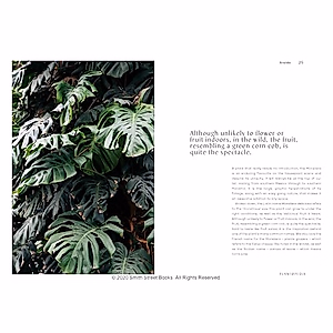 Plantopedia: The Definitive Guide to Houseplants