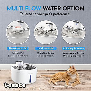 Tossca Wireless Cat Water Fountain | Rechargeable Battery Operated Automatic Dog Water Bowl Dispenser | Sensor Activated Hygienic Stainless Steel Cat Fountain | 5 Bonus Filters (2.6 L)