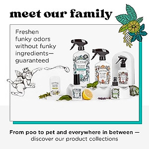 Poo-Pourri Before-You-Go Toilet Spray, Tropical Hibiscus, Refill Bottle 16 Fl Oz - Hibiscus, Apricot and Citrus