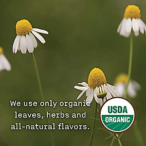 Allegro Tea Organic Relaxing Chamomile Tea Bags, 20 Count