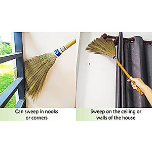 Hand Brush Broom L 22 Inch Natural Grass Broom with Mini Bamboo Handled Red/Blue Indoor Outdoor Smooth Hard Floor Sweeping Cleaning Handmade Home, Kitchen, Bedroom, Lobby Room,Whisk Broom (Classic)