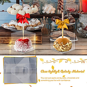 Juexica 100 Pcs Clear Caramel Apple Boxes with Hole Transparent Candy Apple Boxes PET Gift Boxes for Chocolate Wedding Ornaments Boxes, 4x4x4 Inch