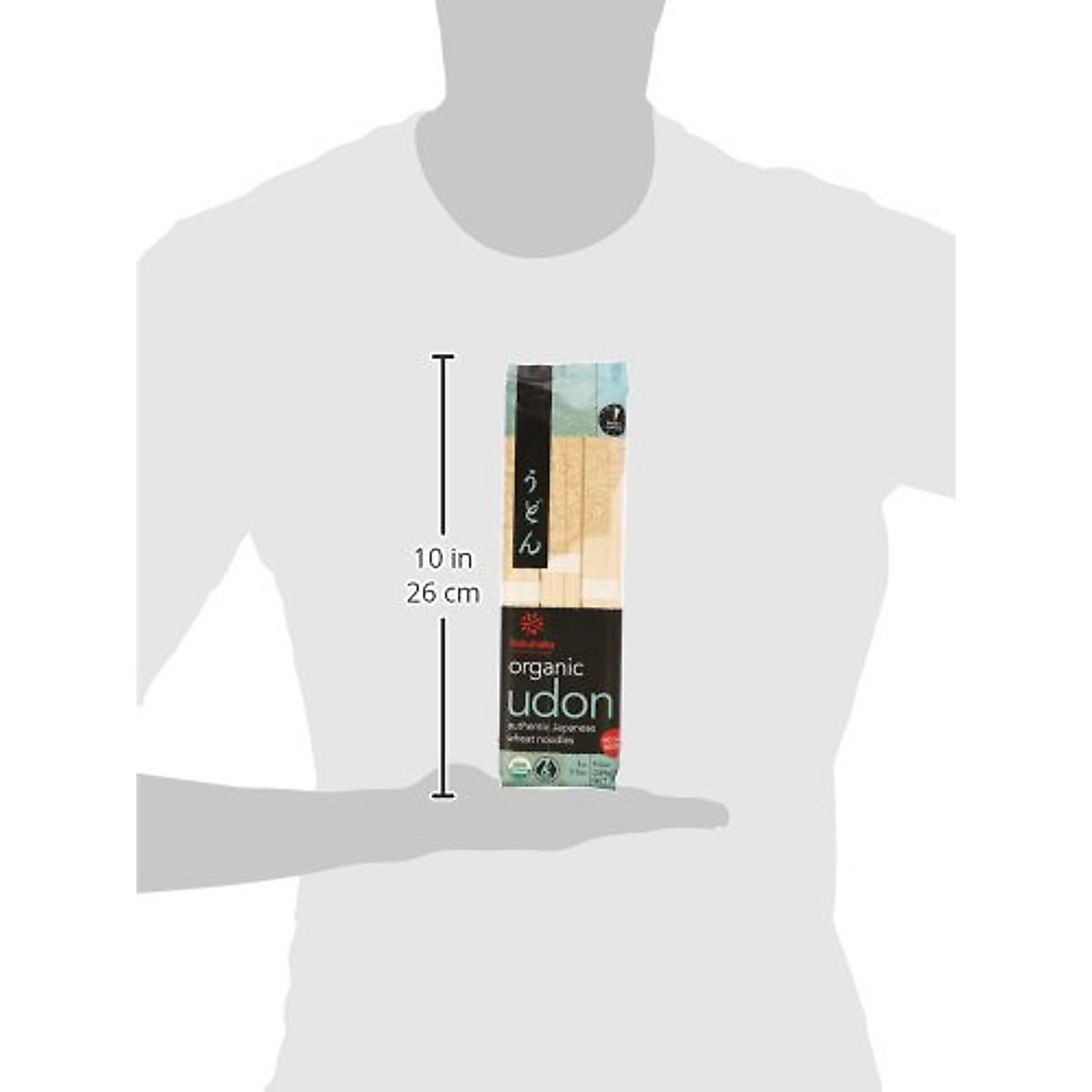 Hakubaku Organic Udon Wheat Noodle (1 x 9.5 OZ)