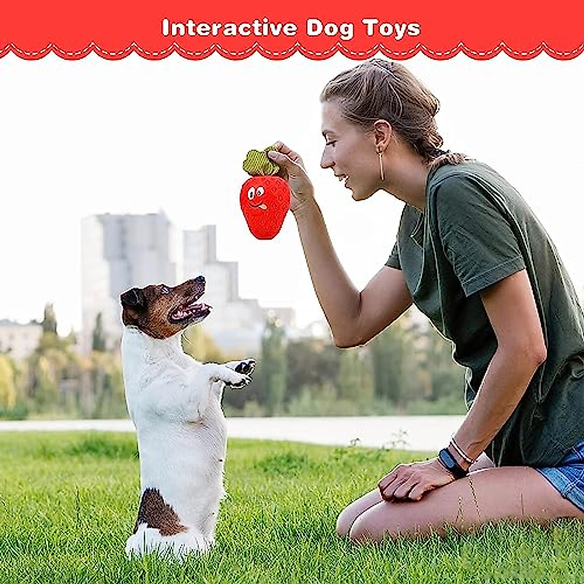 BAPSOUZU Squeaky Dog Chew Toys for Aggressive Chewers, Rubber Indestructible Tough Durable Dogs Toys Interactive Puppy Teeth Clean (Red Strawberry)