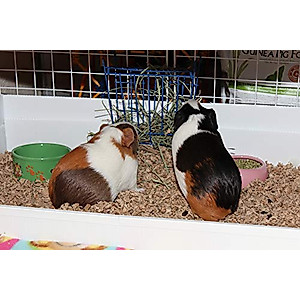 Small Pet Select Premium Small Animal Bedding, Natural Soft Paper Bedding for Small Indoor and Outdoor Pets, Made in USA, 56 L Pack