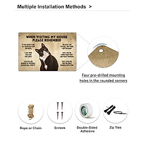 ALKB Funny Tuxedo Cat-Themed Sign 8x12 Inch - Visitor’s Guide to Interacting with Cats - Gift for Cat Lovers’ Home Decor