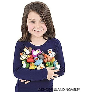 Rhode Island Novelty Assorted Rubber Ducks (100 Pack)