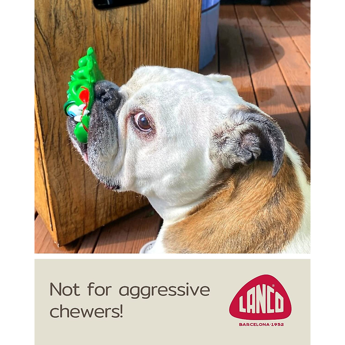 Crocodile Sensory Dog Toy Natural Rubber (Latex), Lead-Free & Chemical-Free, Complies to Same Safety Standards as Children’s Toys, Soft & Squeak