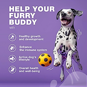 Dog Vitamins 15 in 1 - Dog Multivitamin Chews with MSM for Hip & Joint Health - Dog Supplement for Itchy Skin Relief - Multivitamin for Dogs Immune Support with Enzymes - Skin & Coat, Mobility Support