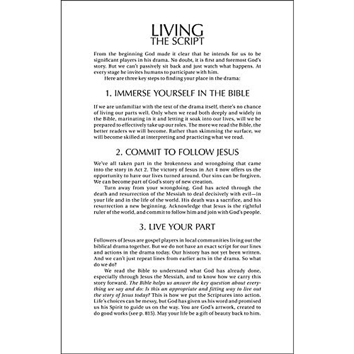 NIV, Holy Bible, Larger Print, Paperback