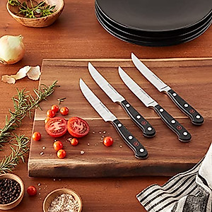 WÜSTHOF Classic 4-Piece Hollow Edge Steak Knife Set