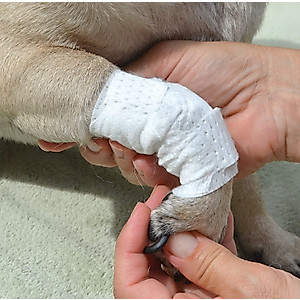 PawFlex Joint and Large Area Wound Bandages for Dogs Cats & Other Pets. Great for Leg Joint sprains and Tail Injuries! Non Adhesive Breathable Non-Slip Disposable Washable Value Pack (L/XL 12pk)