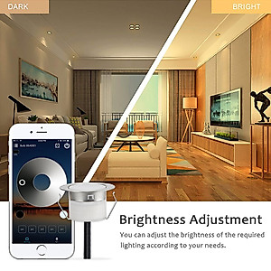 FVTLED WiFi Deck Lighting, WiFi Controlled 20pcs Low Voltage LED Step Lights Kit Φ1.77 Stainless Steel Waterproof Outdoor Recessed Stair Light Work with Alexa Google Home, Warm White