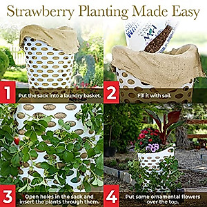 Single Large Burlap Sack - Reusable Woven Jute Bag for Backyard Gardening, Food Storage, Halloween Costume - Big Gunny Sack for Family Carnival Games, Outdoor Games For Kids, Party Decor - 23x40"