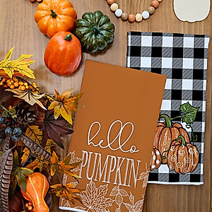 ARKENY Fall Kitchen Towels Set of 2,Black Buffalo Check Pumpkin Autumn Dish Towels 18x26 Inch Drying Dishcloth,Farmhouse Home Decoration AD127