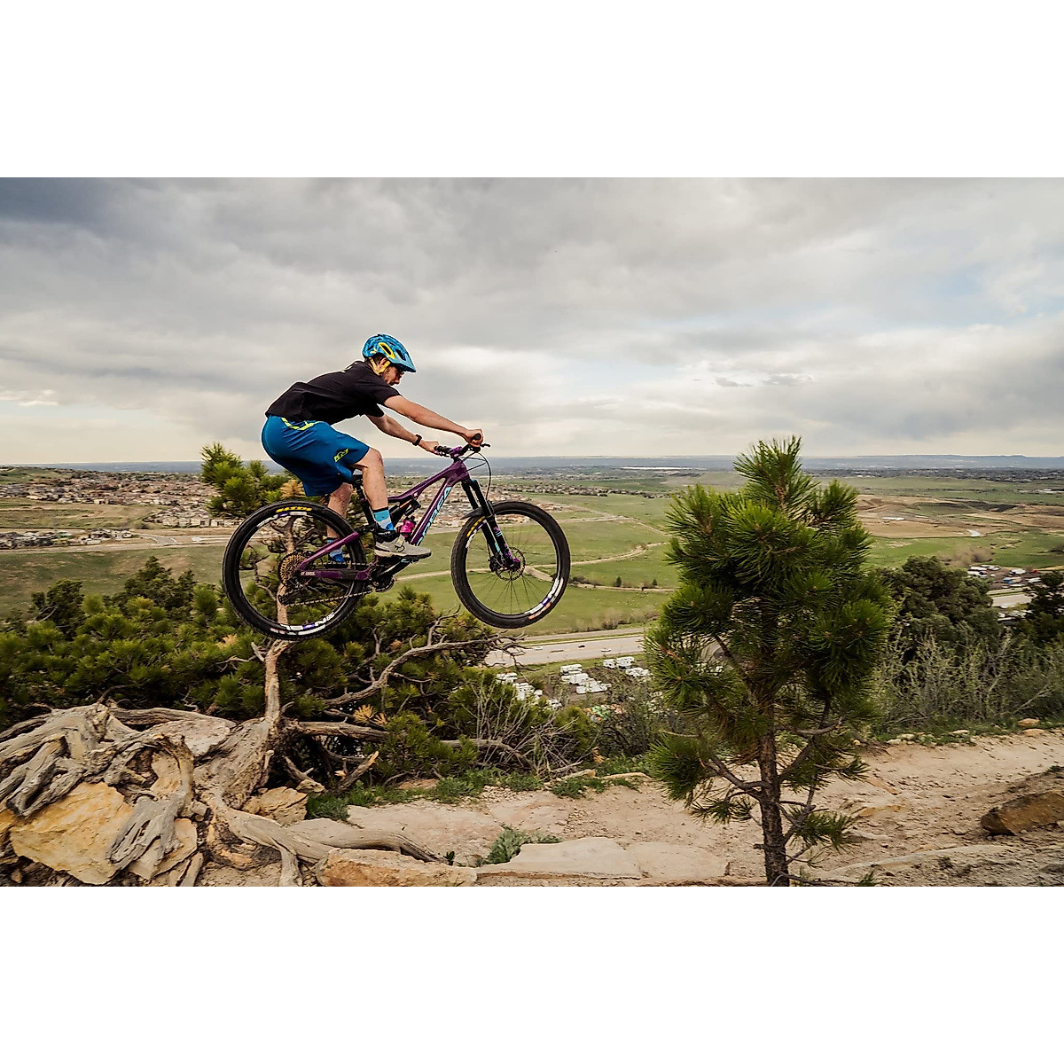 Swiftwick VISION SIX Impression, Parks Edition, Running and Cycling Socks (Yellowstone Bison, Medium)