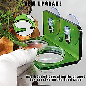 WOLEDOE Crested Gecko Feeding Ledge with 20 Pcs 0.5oz Bowls, Reptile Food Cups and Water Dish fit Chameleon Lguana Lizards