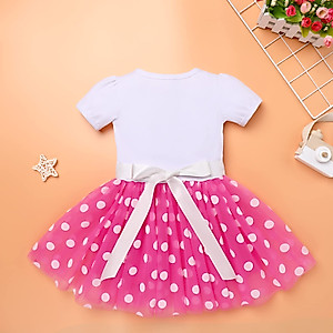 IMEKIS Mouse 2nd 3rd Birthday Outfit Baby Girls Dress Polka Dots Mini Tutu Headband Two Three Years Old Cake Smash Photo Shoot Toddler Mouse Themed Birthday Party Supplies Hot Pink Bowknot 2-3T