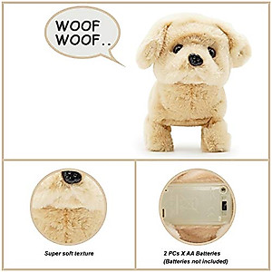 Daron Pugs at Play Goldie Walking Dog (PAP05)