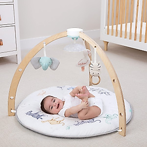 aden + anais Play and Discover Baby Activity Gym – 30+ Developmental Benefits - 3 Attachable Toys + Plush Tummy Time Pillow – 100% Cotton Muslin – Machine Washable