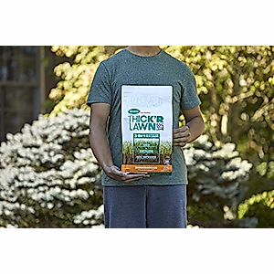 Scotts Turf Builder THICK'R LAWN Grass Seed, Fertilizer, and Soil Improver for Bermudagrass, 1,200 sq. ft., 12 lbs.