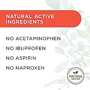 Hyland's Natural Pain Relief for Neck Back Shoulder Muscle and Joint Tablets, 100 Count